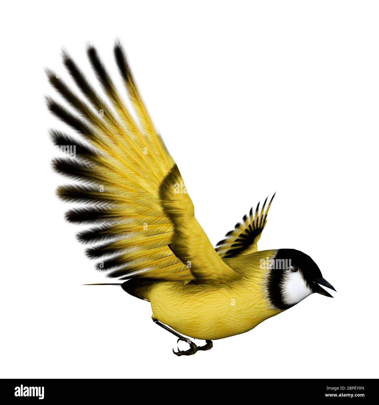 Yellow Finches Flying