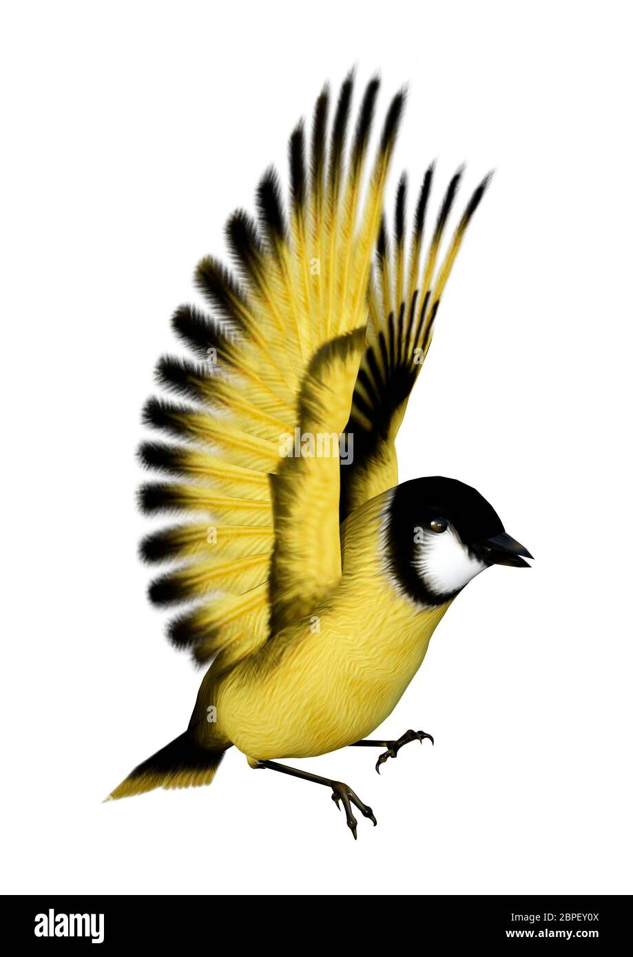 3D rendering of a flying songbird goldfinch isolated on white ...