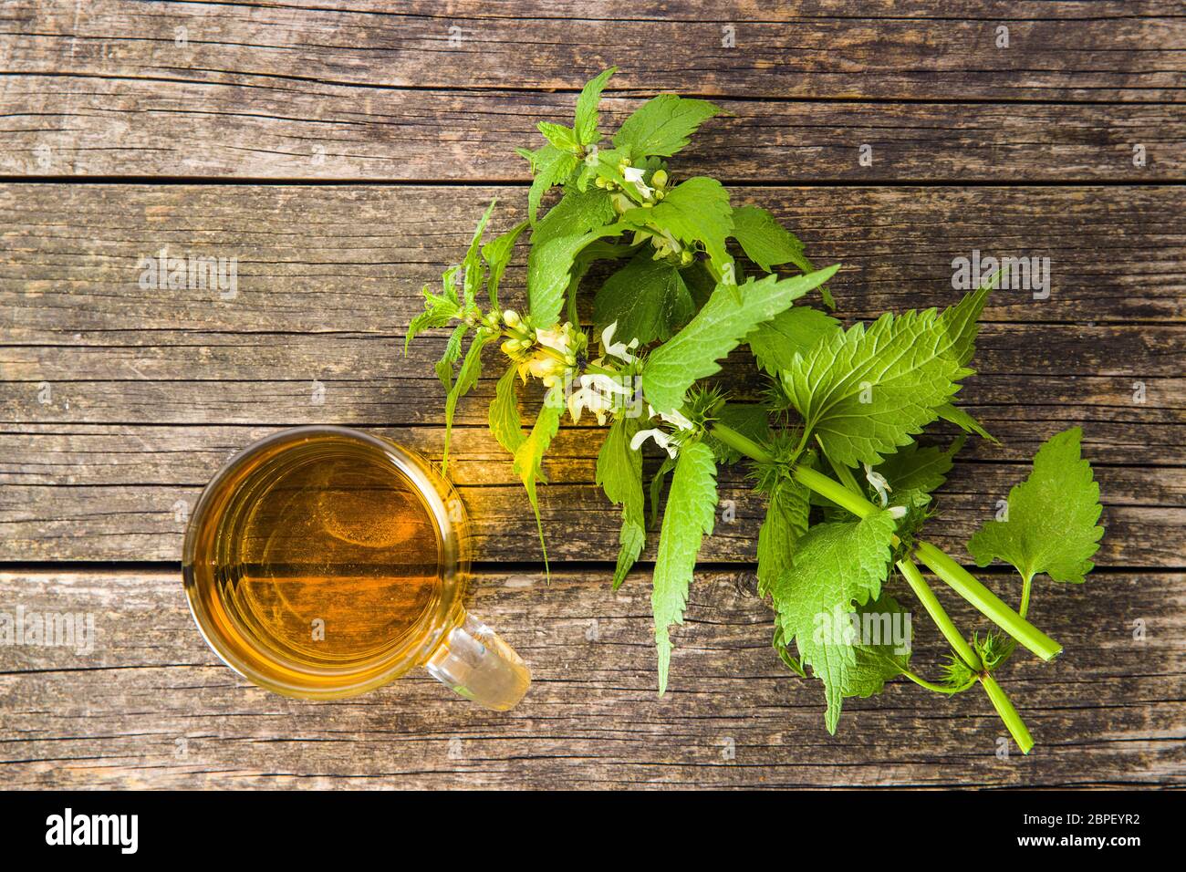 Nettle tea overhead hi-res stock photography and images - Alamy