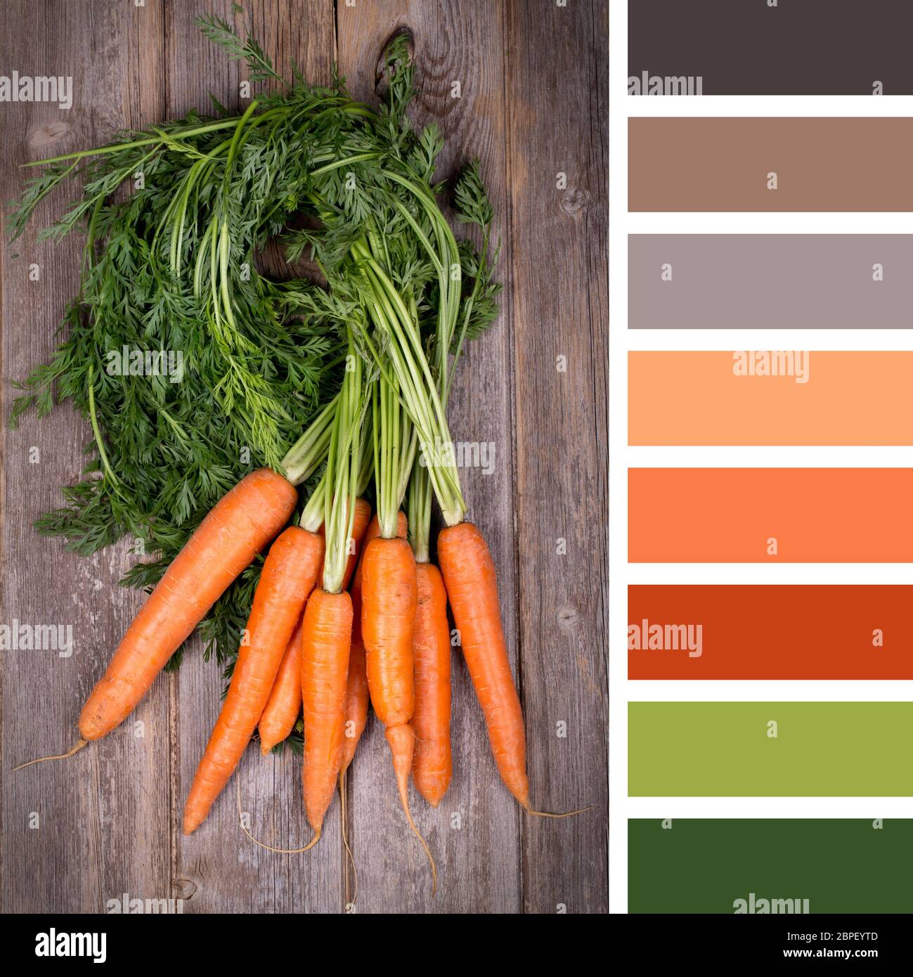 A bunch of fresh carrots on wooden background, in a colour palette with ...