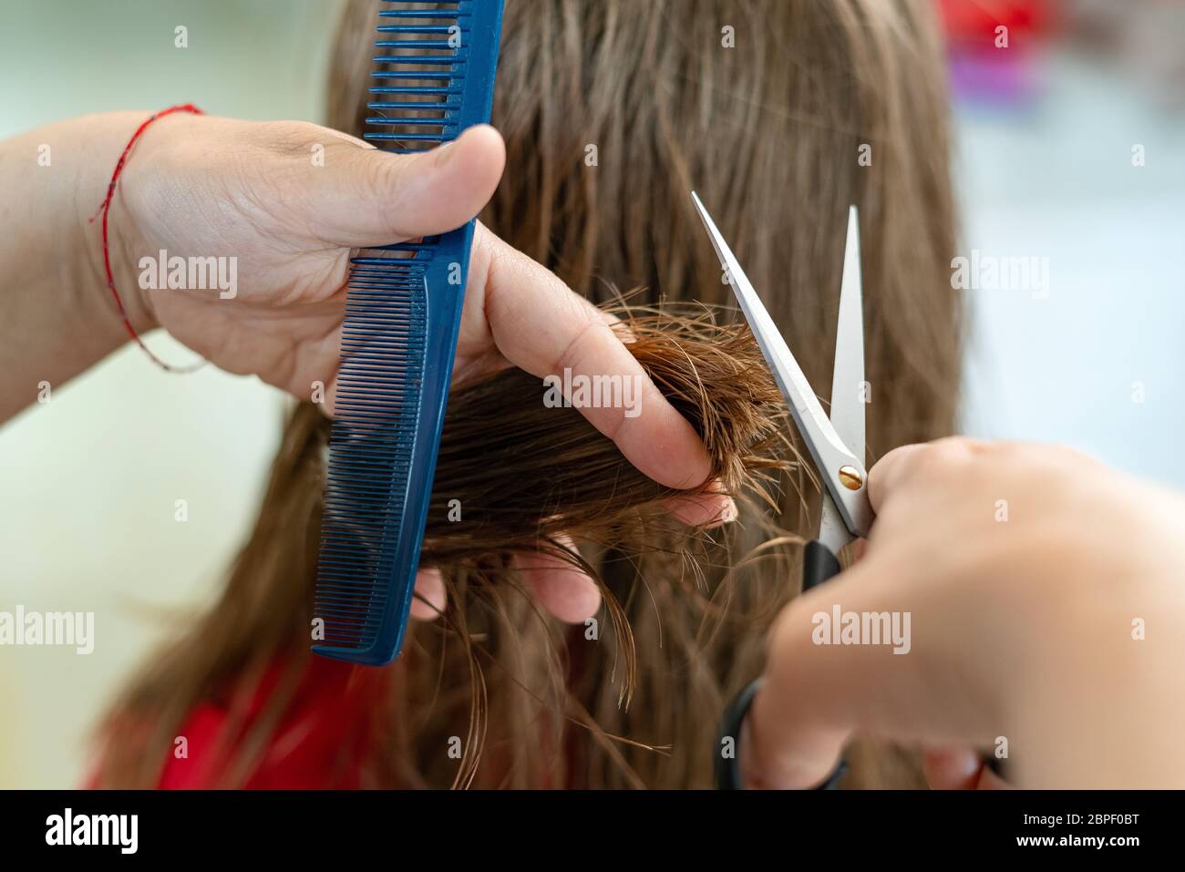 Close up of hairdresser hands cutting brown hair at home. Professional ...