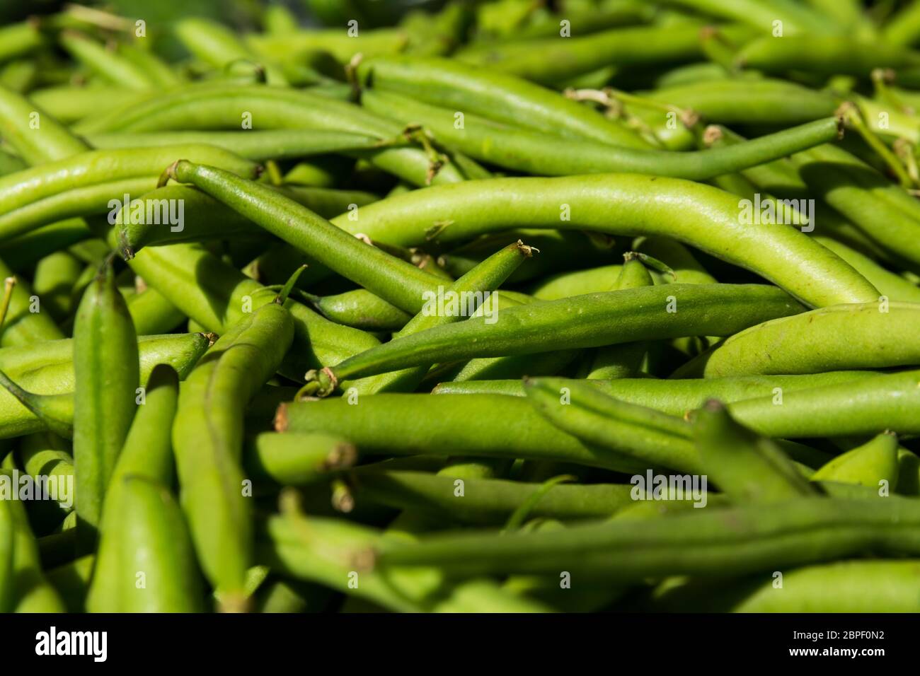 Macro of Bunch of Fresh Green Beans at Local Food Market Stock Photo ...