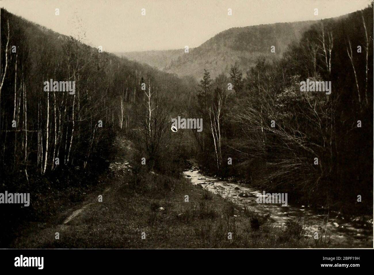 "The mountains about Williamstown" (1913 Stock Photo - Alamy