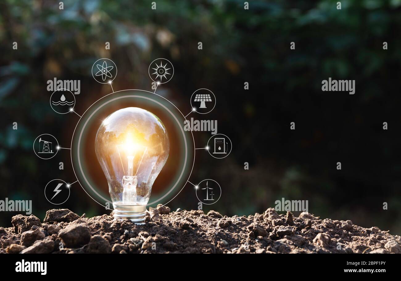 Energy saving light bulb on nature background for energy and creative ...