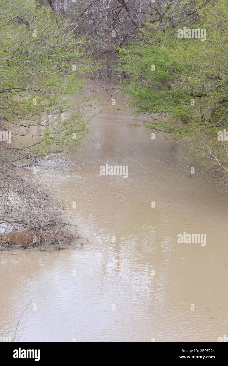 Extremely muddy hi-res stock photography and images - Alamy