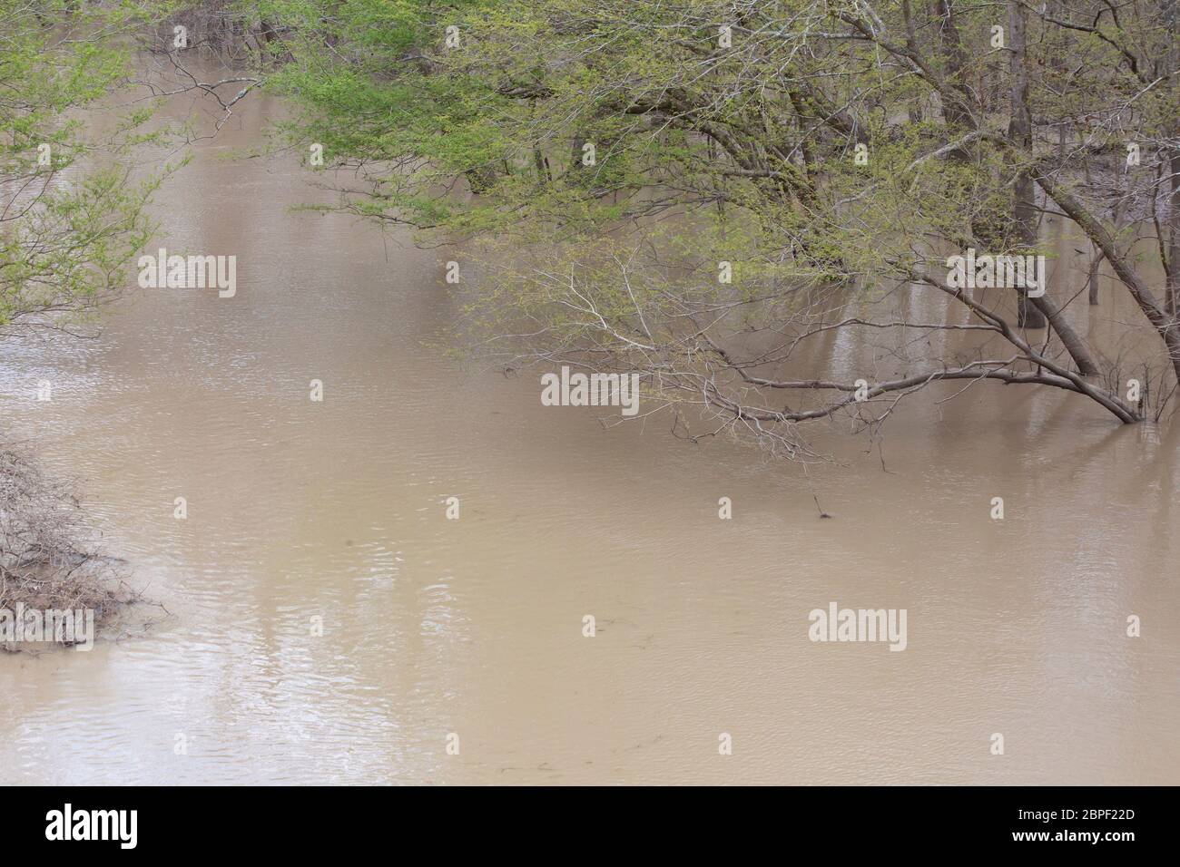 Extremely muddy hi-res stock photography and images - Alamy