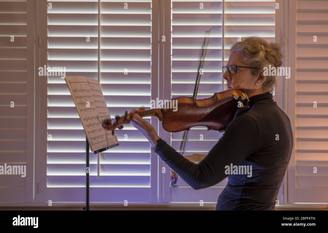 Standing woman playing classical violin against background of louvre ...