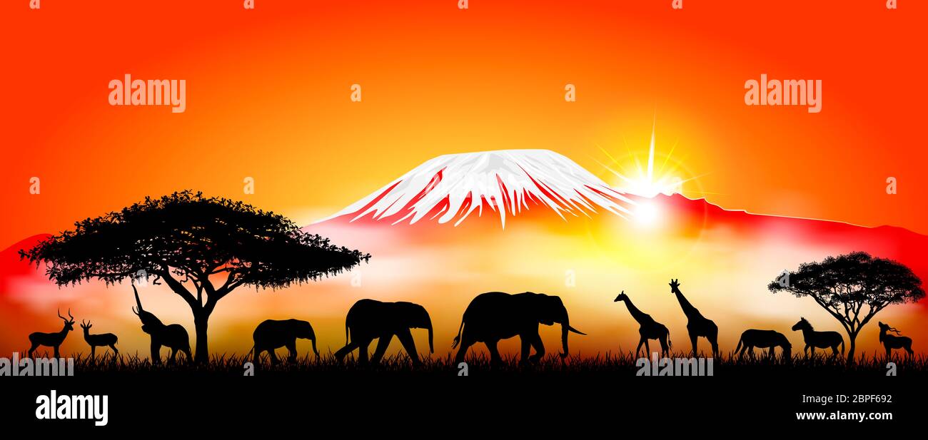 African Animals Silhouette Painting