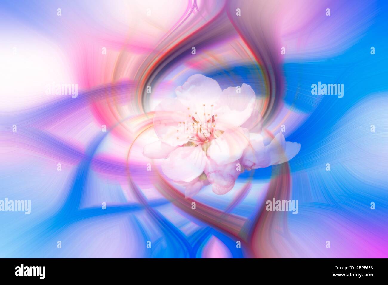 Colorful abstract twirl effect background with flower Stock Photo - Alamy