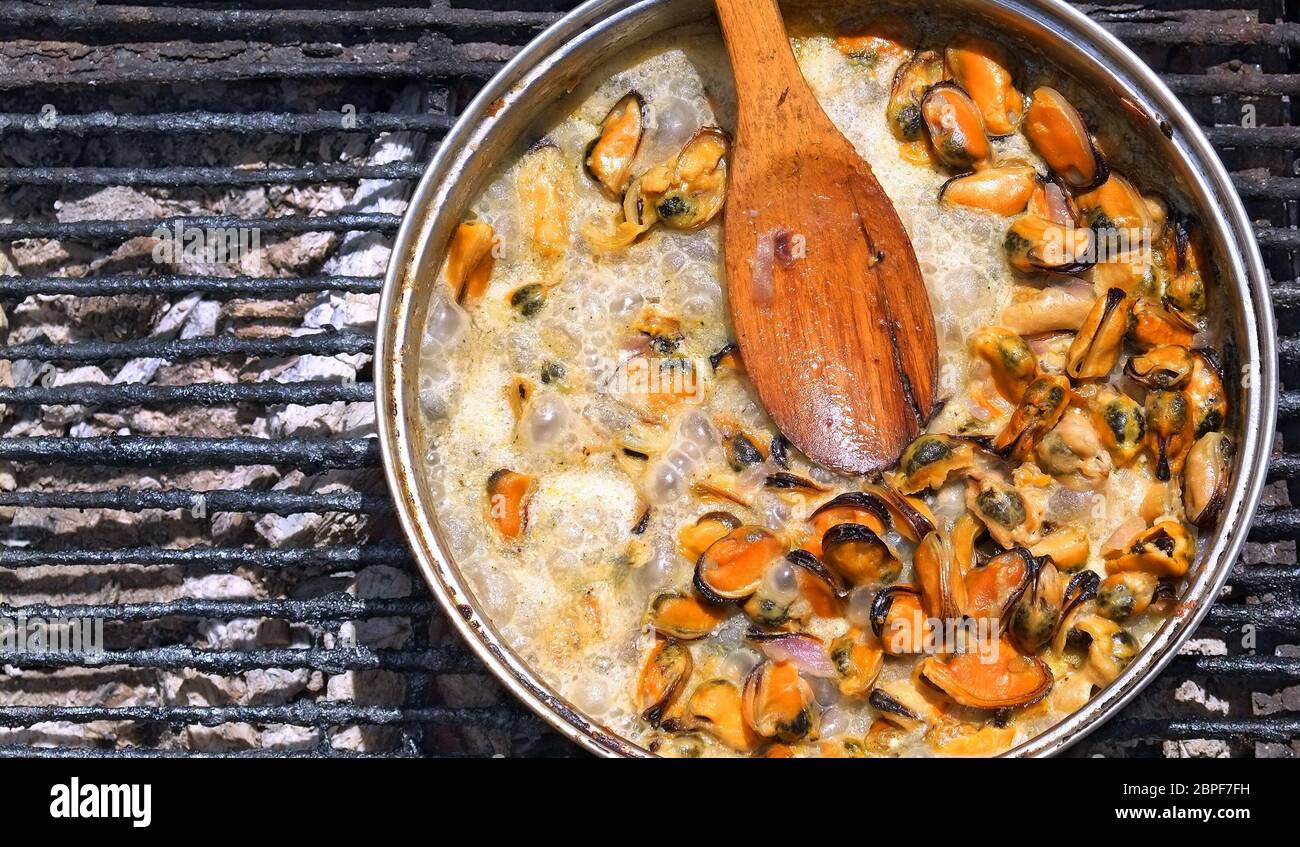 Purified from the shells of sea mussels simmer in a creamy sauce over ...