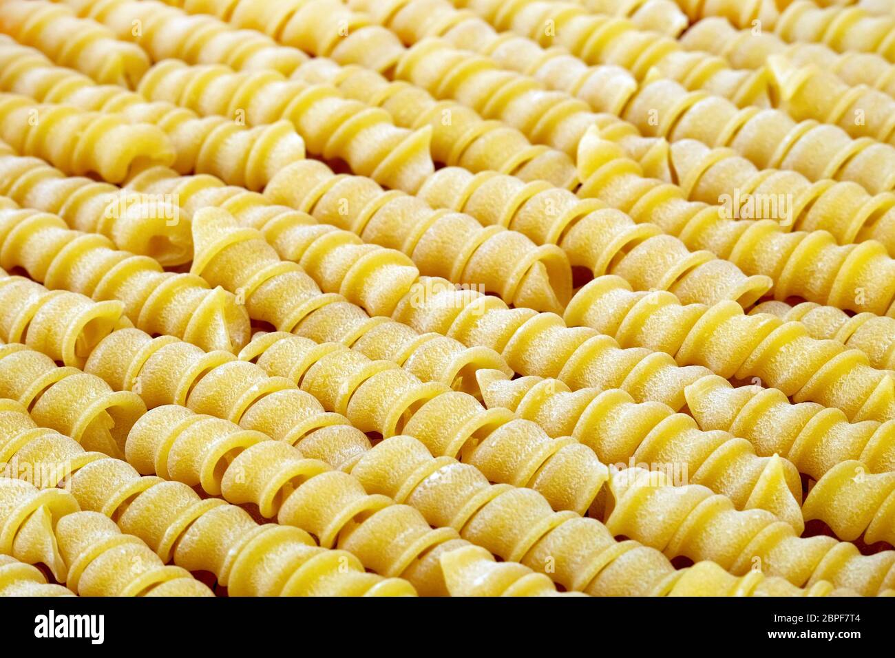 Italian uncooked wheat spiral torchietti pasta closeup sorted ...