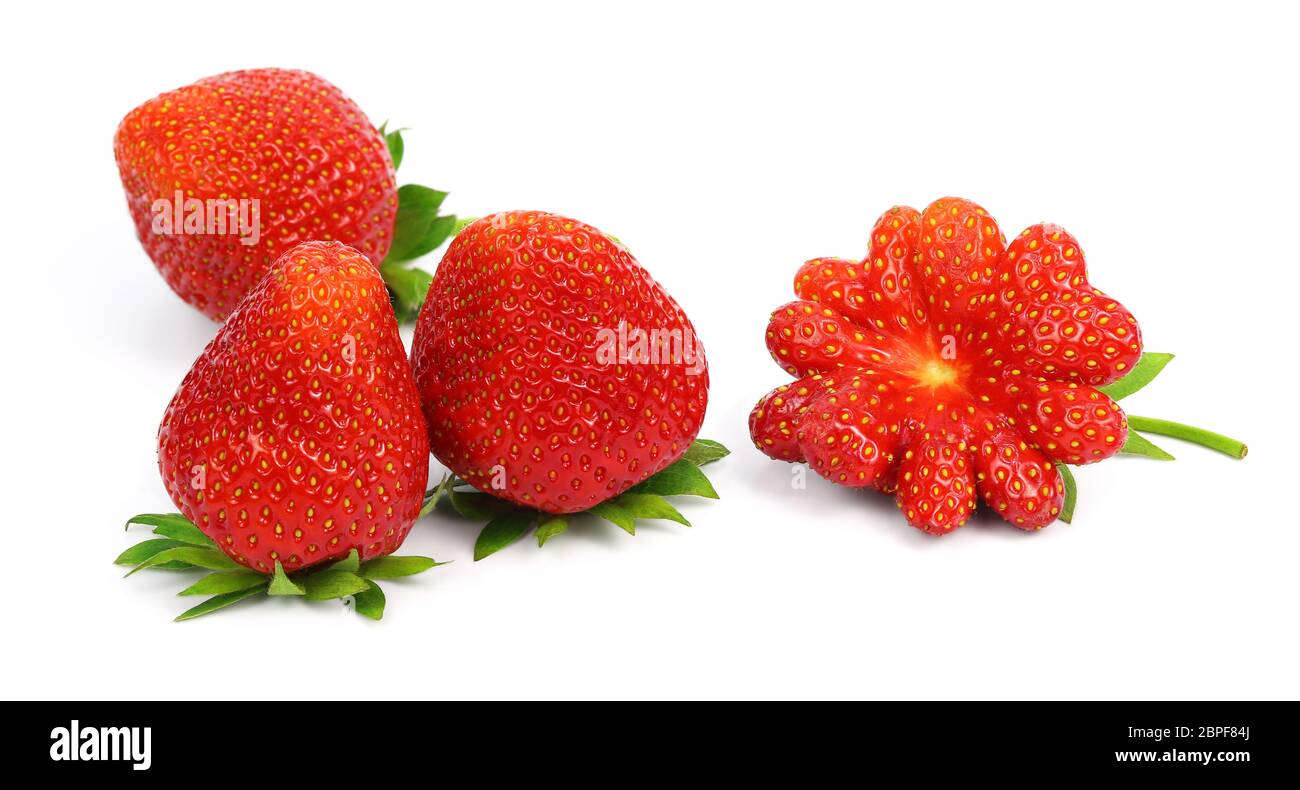 Several ripe strawberries of common shape and one berry of unusual ...