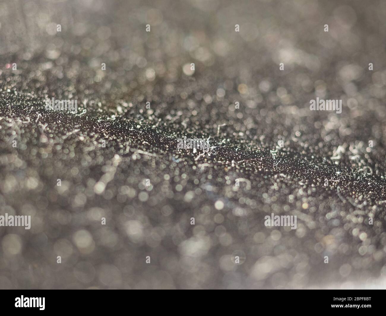 white dust particles over a dark background Stock Photo - Alamy