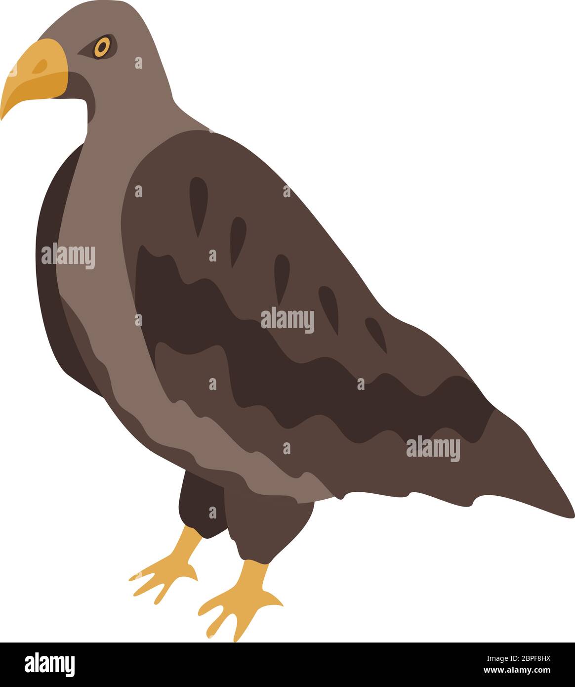 Brown eagle icon, isometric style Stock Vector Image & Art - Alamy