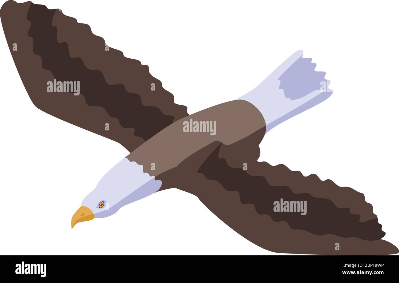 Falcon eagle icon, isometric style Stock Vector Image & Art - Alamy