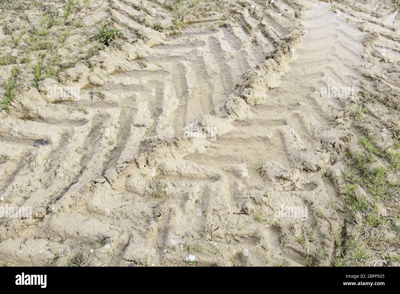 Wheel tracks in the mud, detail footprints Car Stock Photo - Alamy