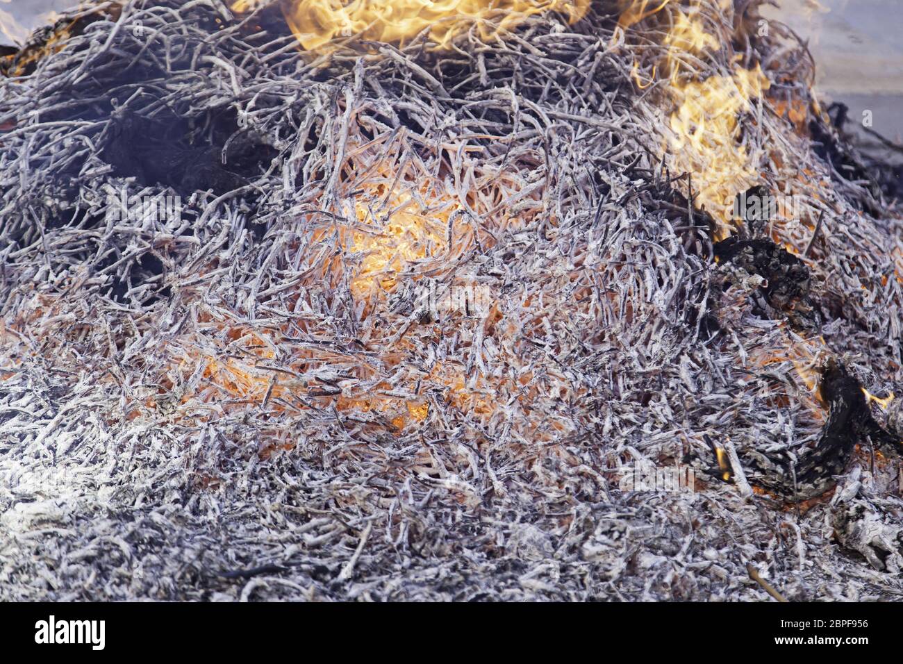 Fire wood embers, detail of a fire to grill Stock Photo - Alamy