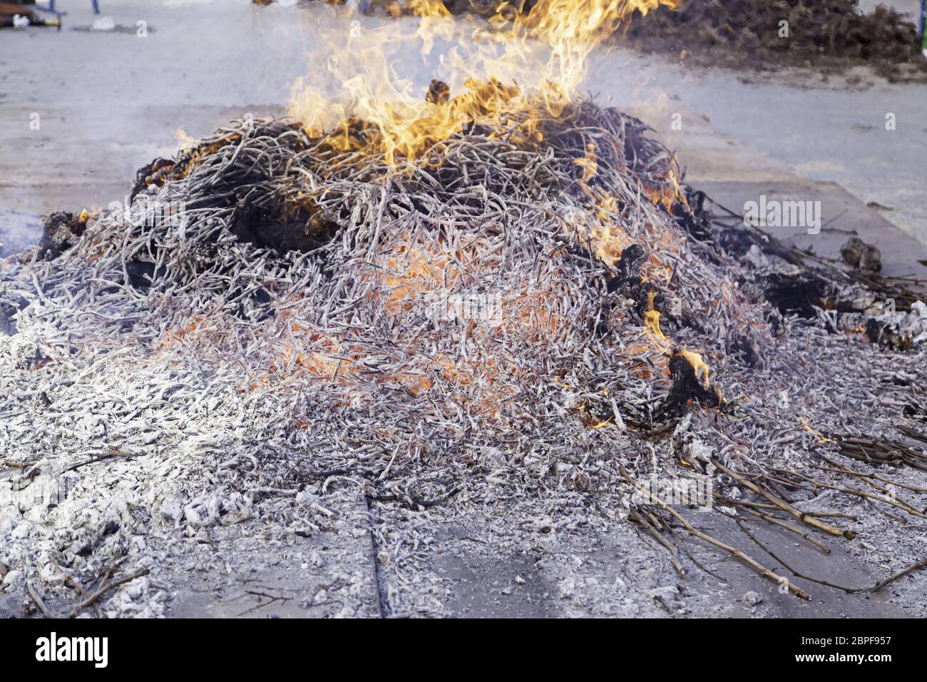 Fire wood embers, detail of a fire to grill Stock Photo - Alamy