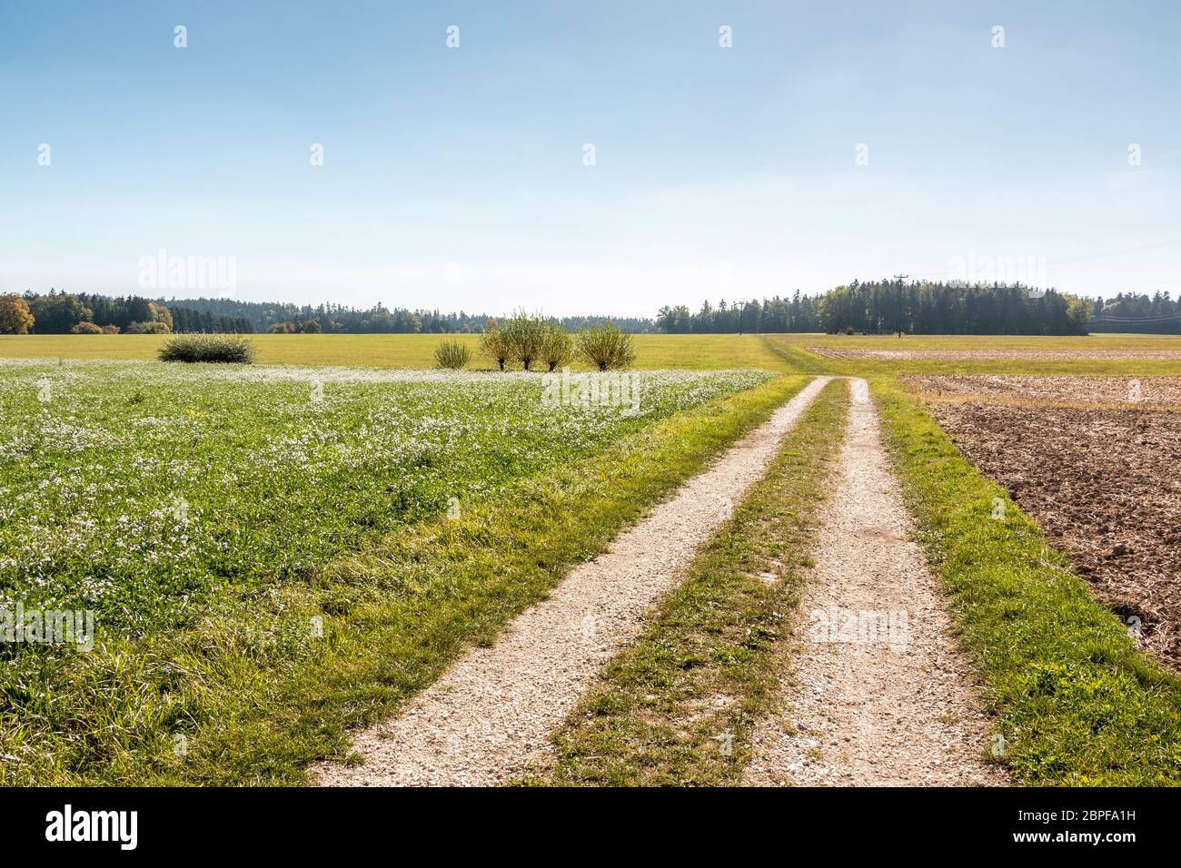 German countryside with forests, fields and meadows Stock Photo - Alamy
