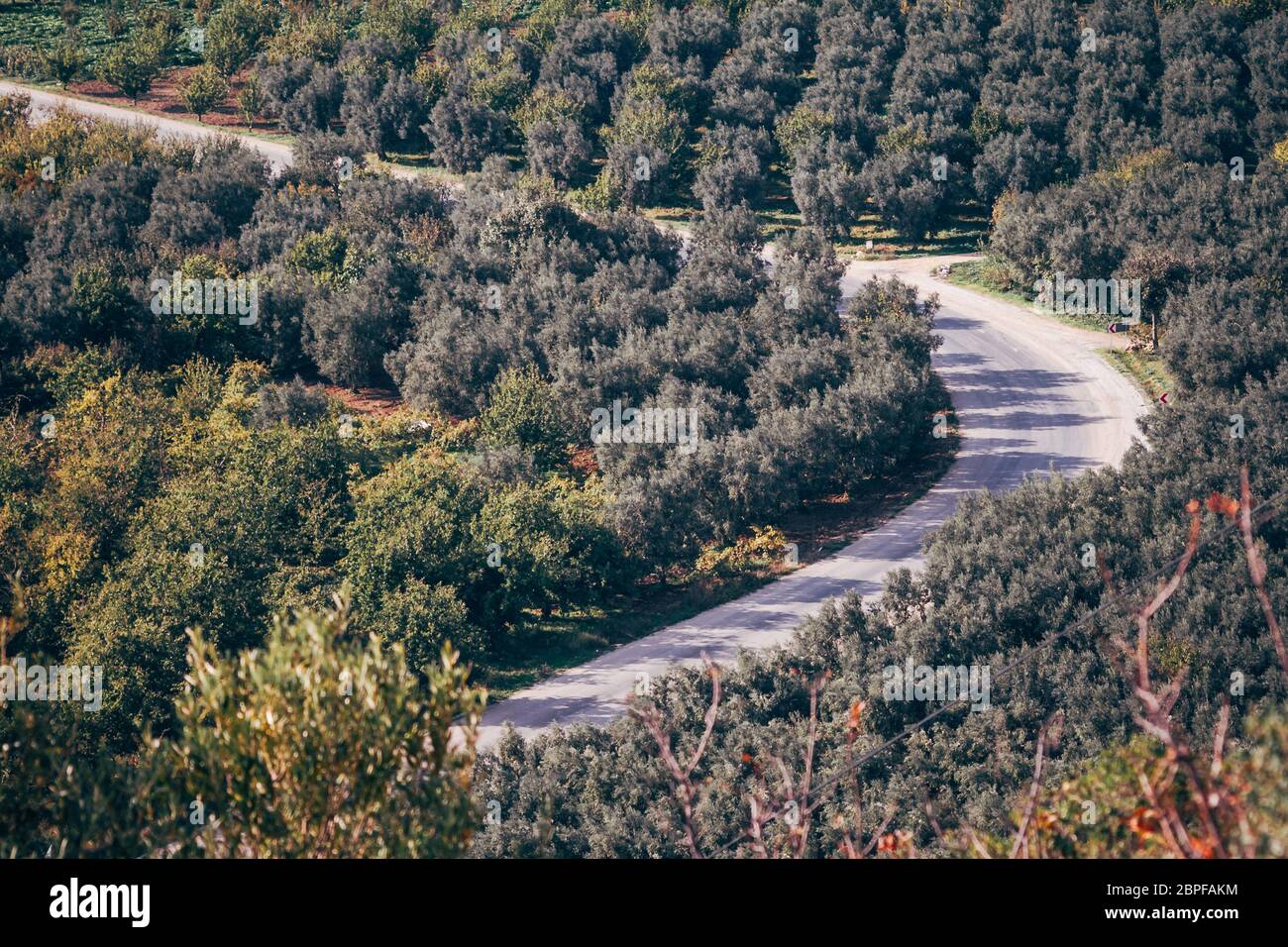 Olive landscape birds eye view hi-res stock photography and images - Alamy
