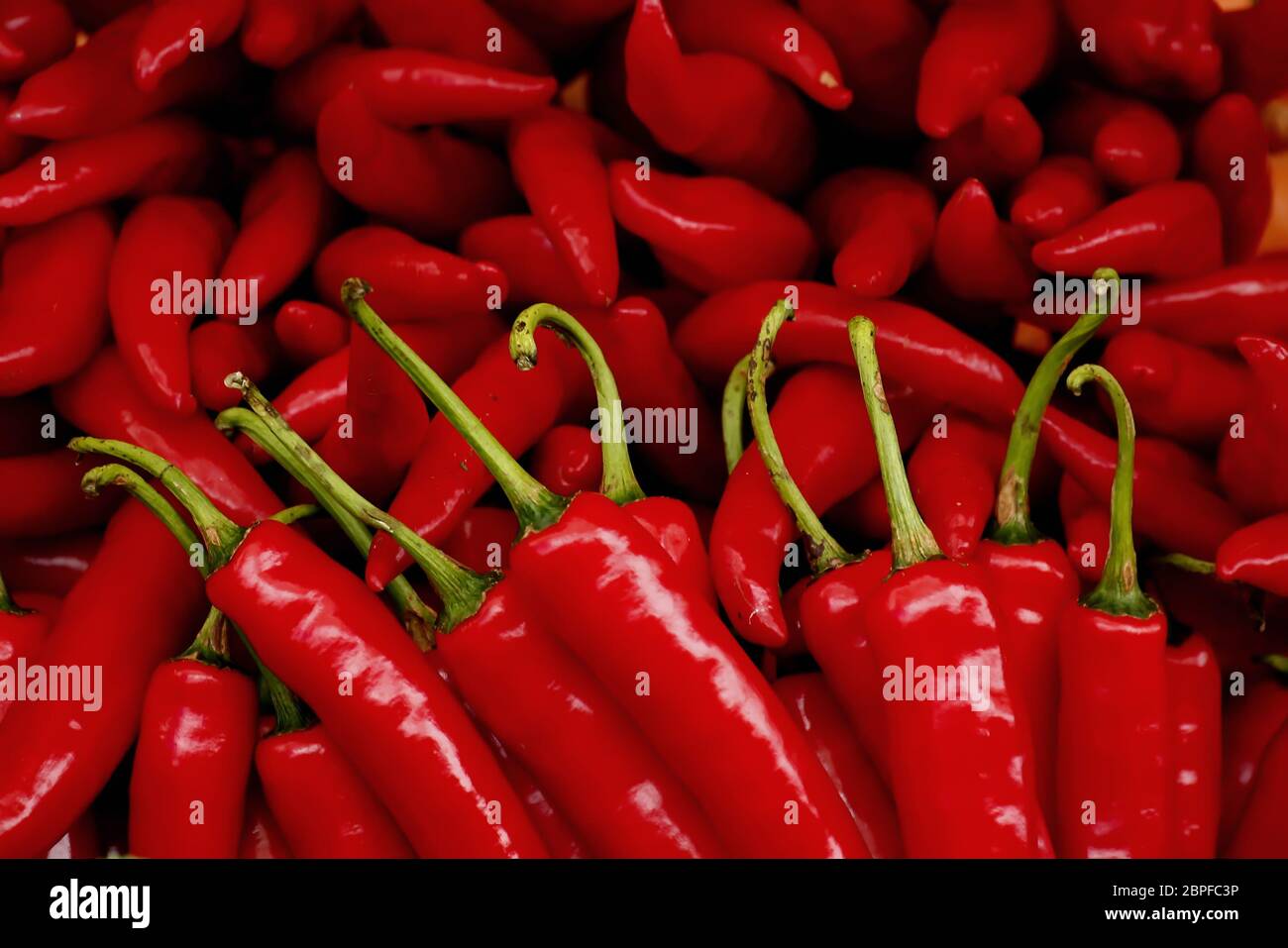 Red chilli important ingredient in the kitchen Stock Photo - Alamy