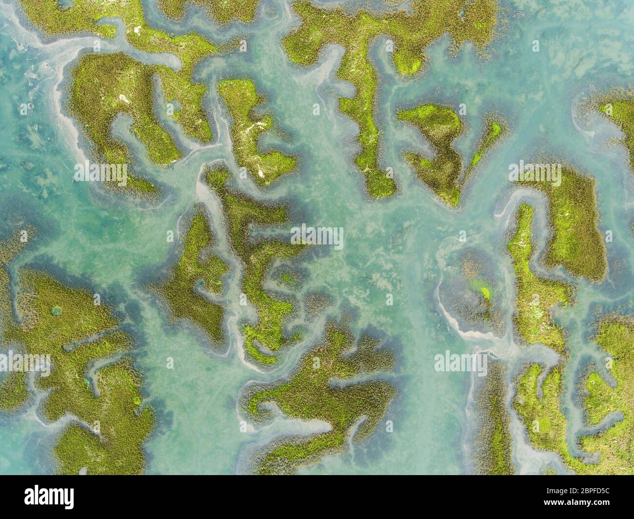 Natural park of Marsh of Santona, Victoria and Joyel, Cantabria, Spain ...