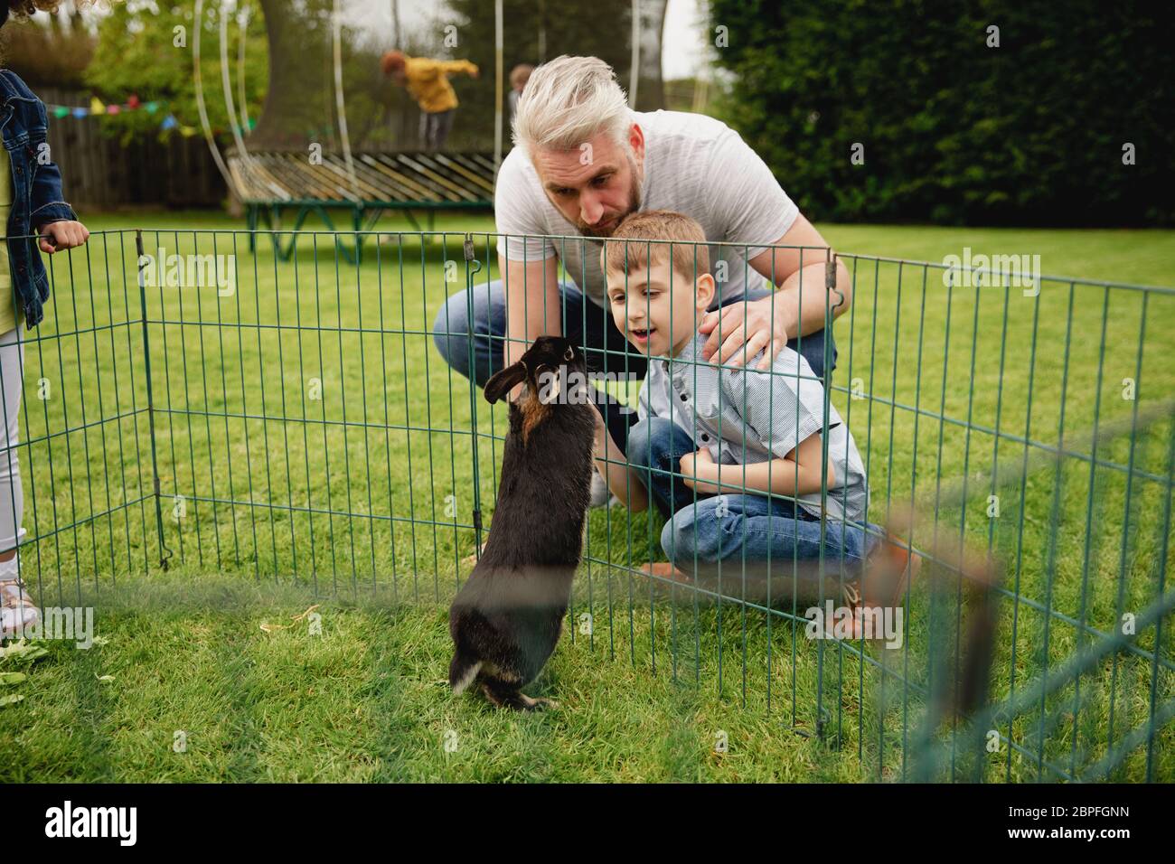 Father and son kneeling down next to a cage where the pet rabbit is ...