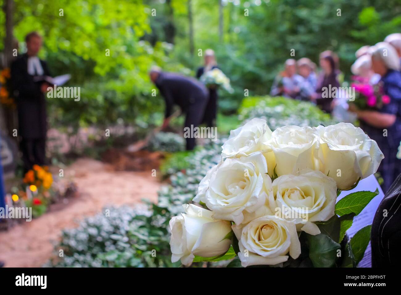 Roses in cemetery with people in the background. Funeral in cemetery ...