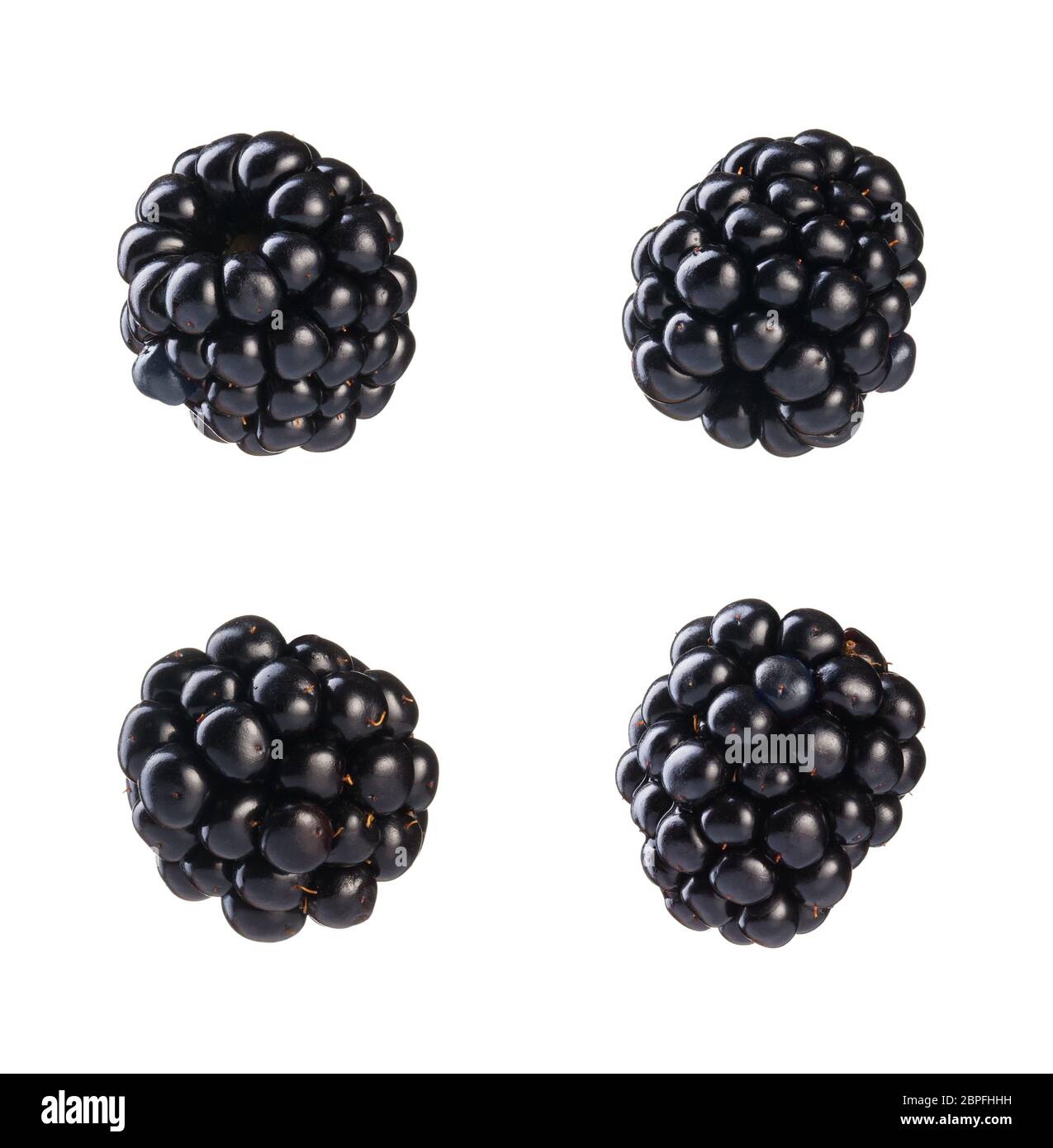 Collection of fresh blackberries. Isolated on white background Stock ...