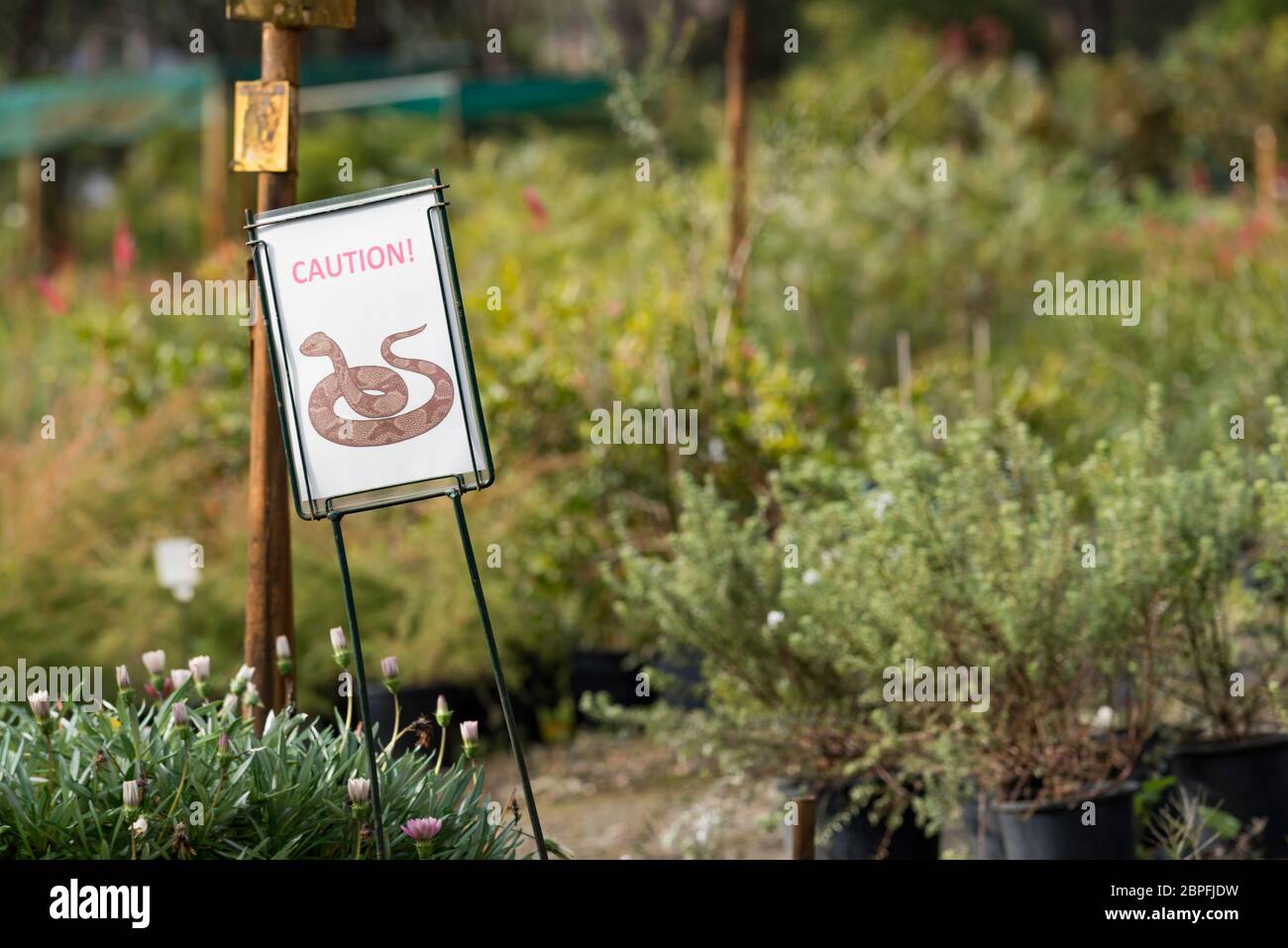 Warning snakes sign hi-res stock photography and images - Alamy