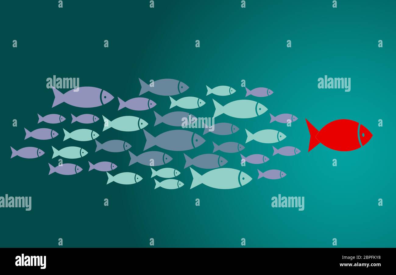 Leadership concept with small fishes group, 3D rendering Stock Photo ...