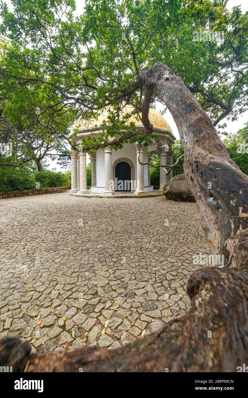 Tree branch columns hi-res stock photography and images - Alamy