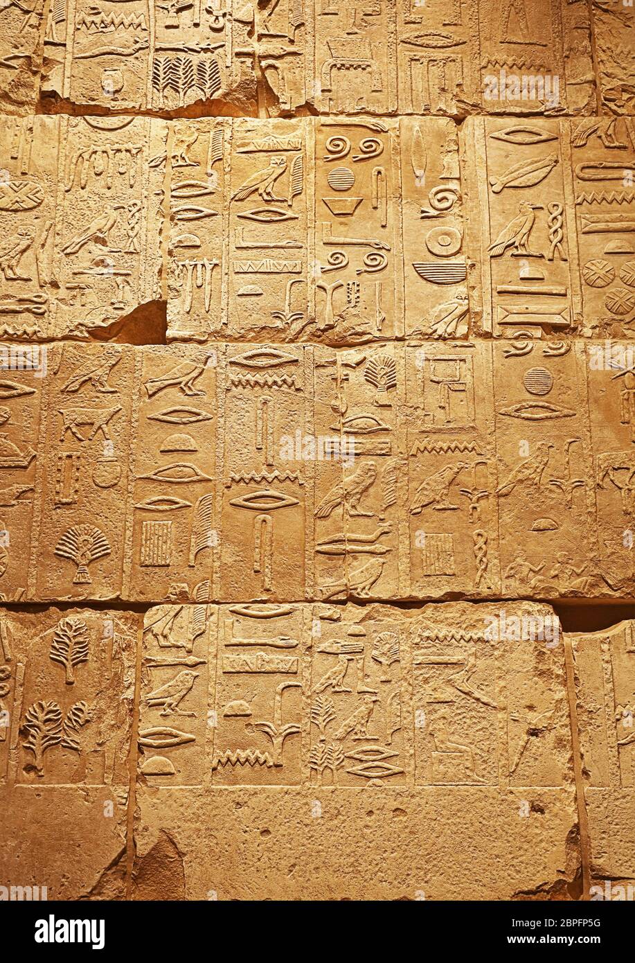 Close up background of antique stone wall with carved ancient Egyptian ...