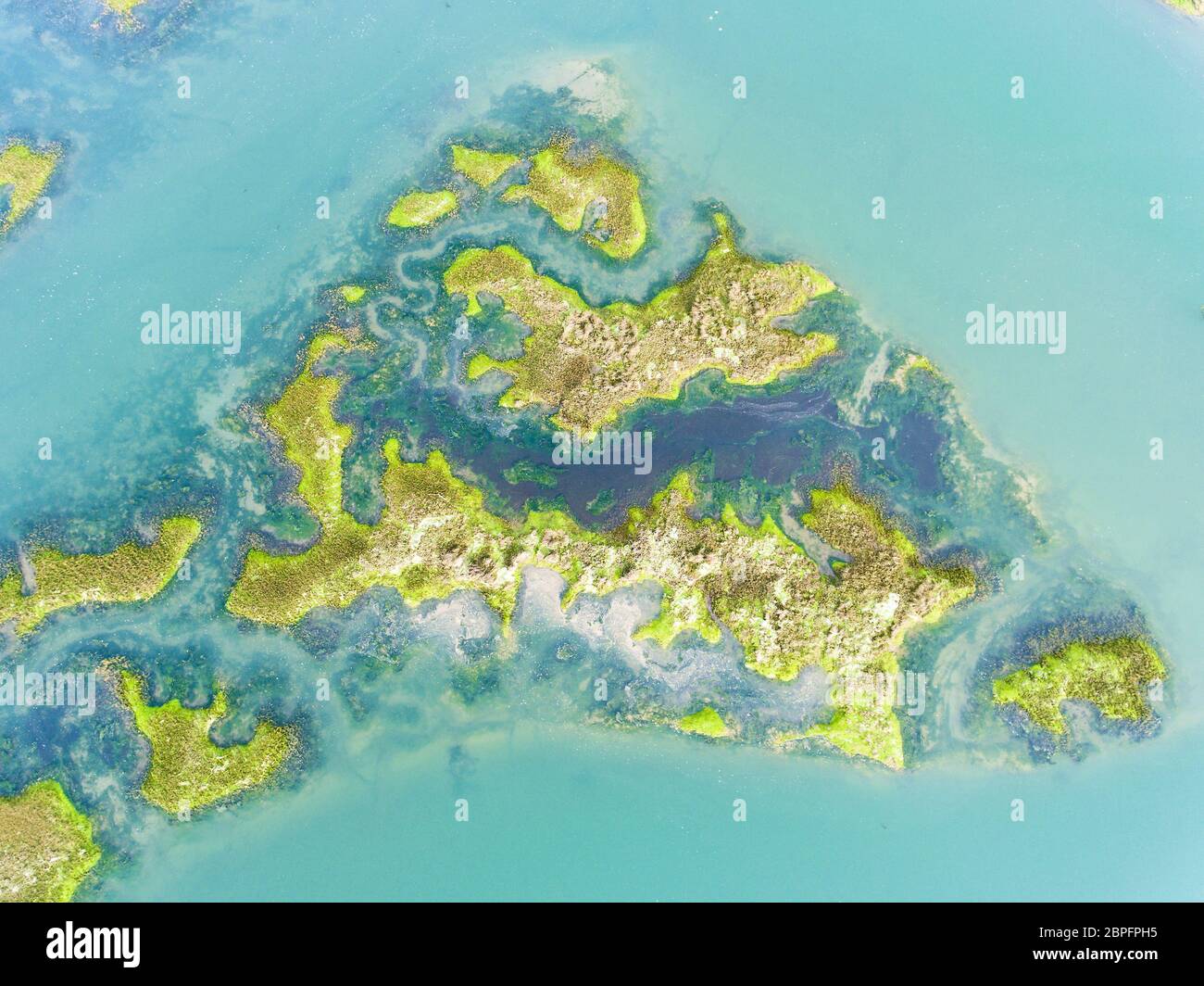 Santoña marsh hi-res stock photography and images - Alamy