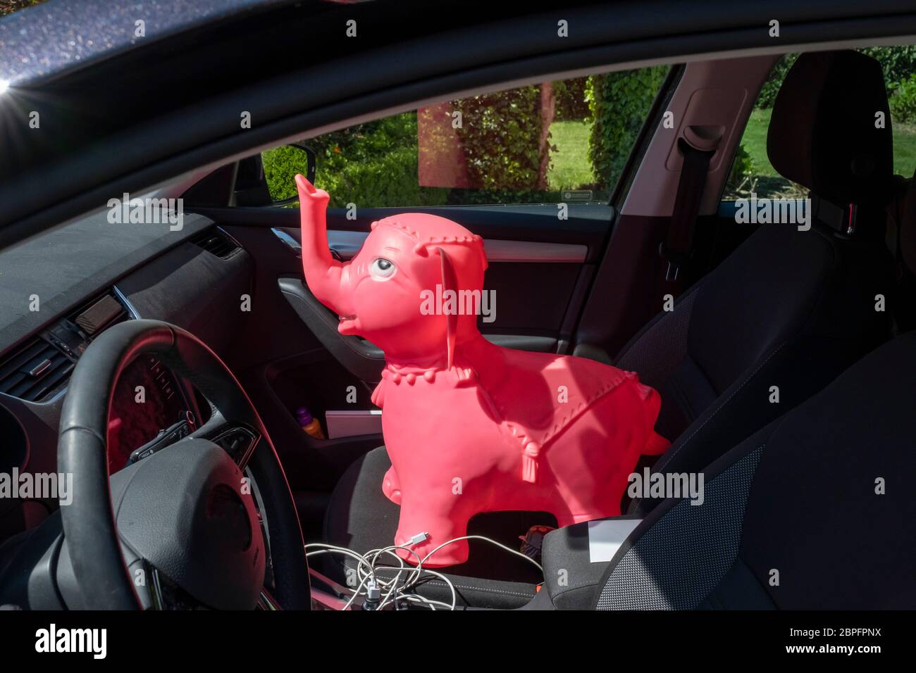 Rubber inflatable pink elephant animal toys on the front seat of a car ...