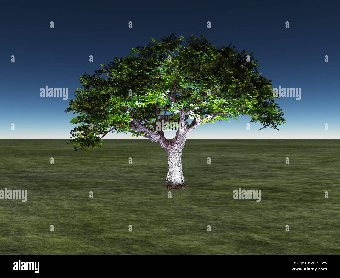 Green tree lit from beneath Stock Photo - Alamy