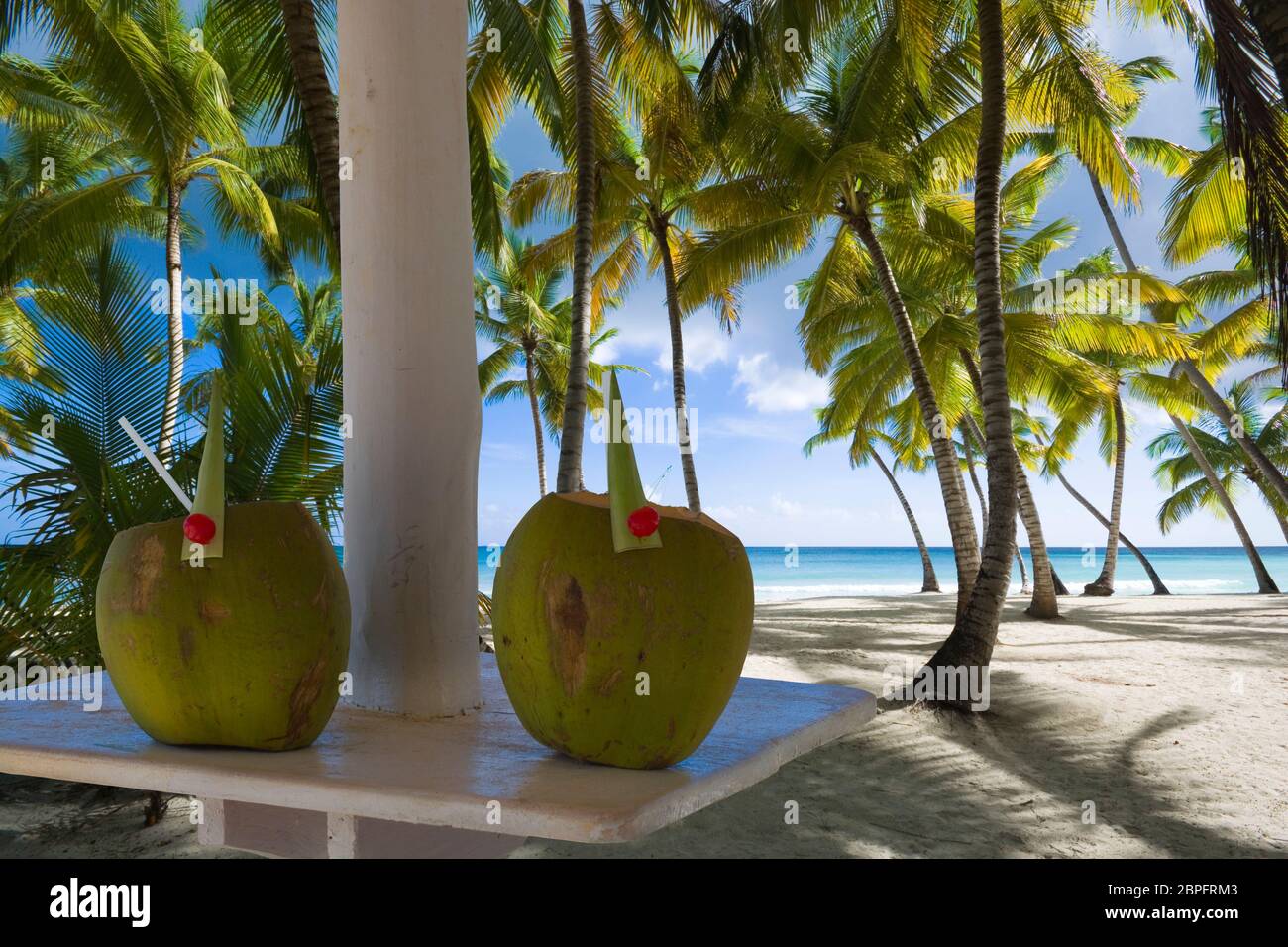 Coconut drinks on table under palm tree leaves umbrella on tropical ...