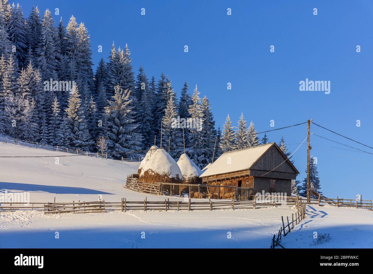 traditional house in Fundatica village. Brasov county, Romania Stock ...