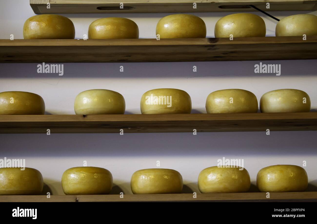 City of traditional cheese making hi-res stock photography and images ...