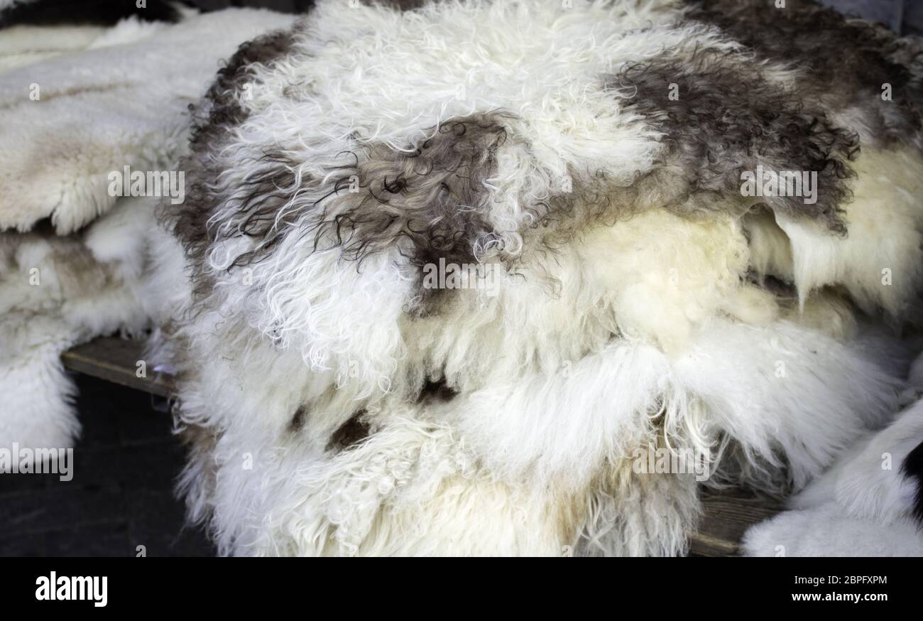 Animal Skin Skins Clothing High Resolution Stock Photography and Images ...