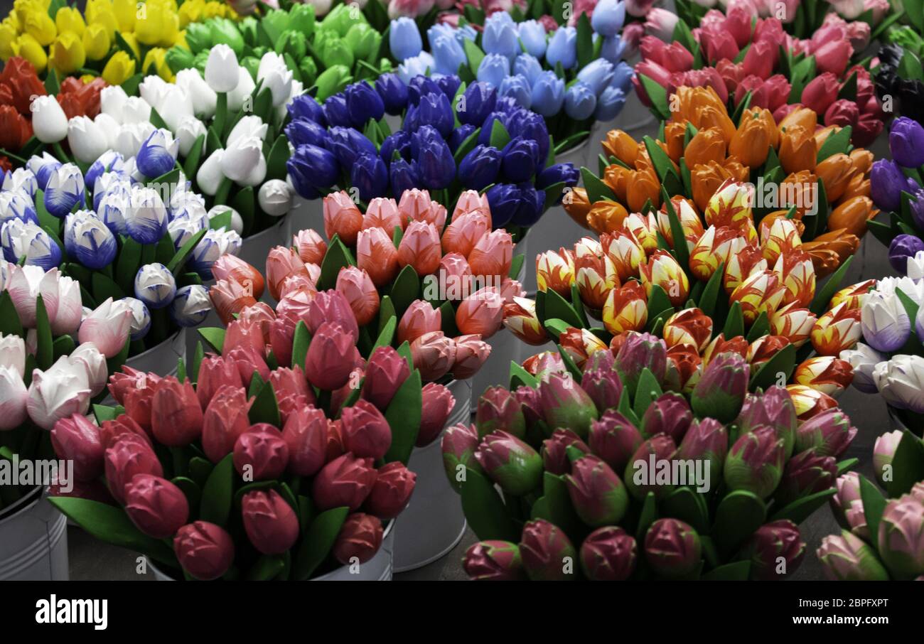 Dutch auction flowers hi-res stock photography and images - Alamy