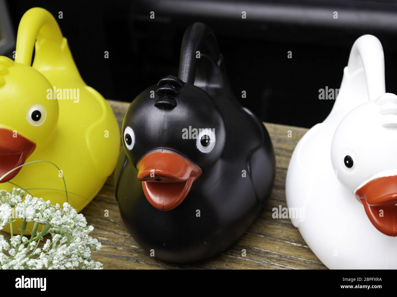 Colorful rubber ducks in craft store, funny objects Stock Photo - Alamy
