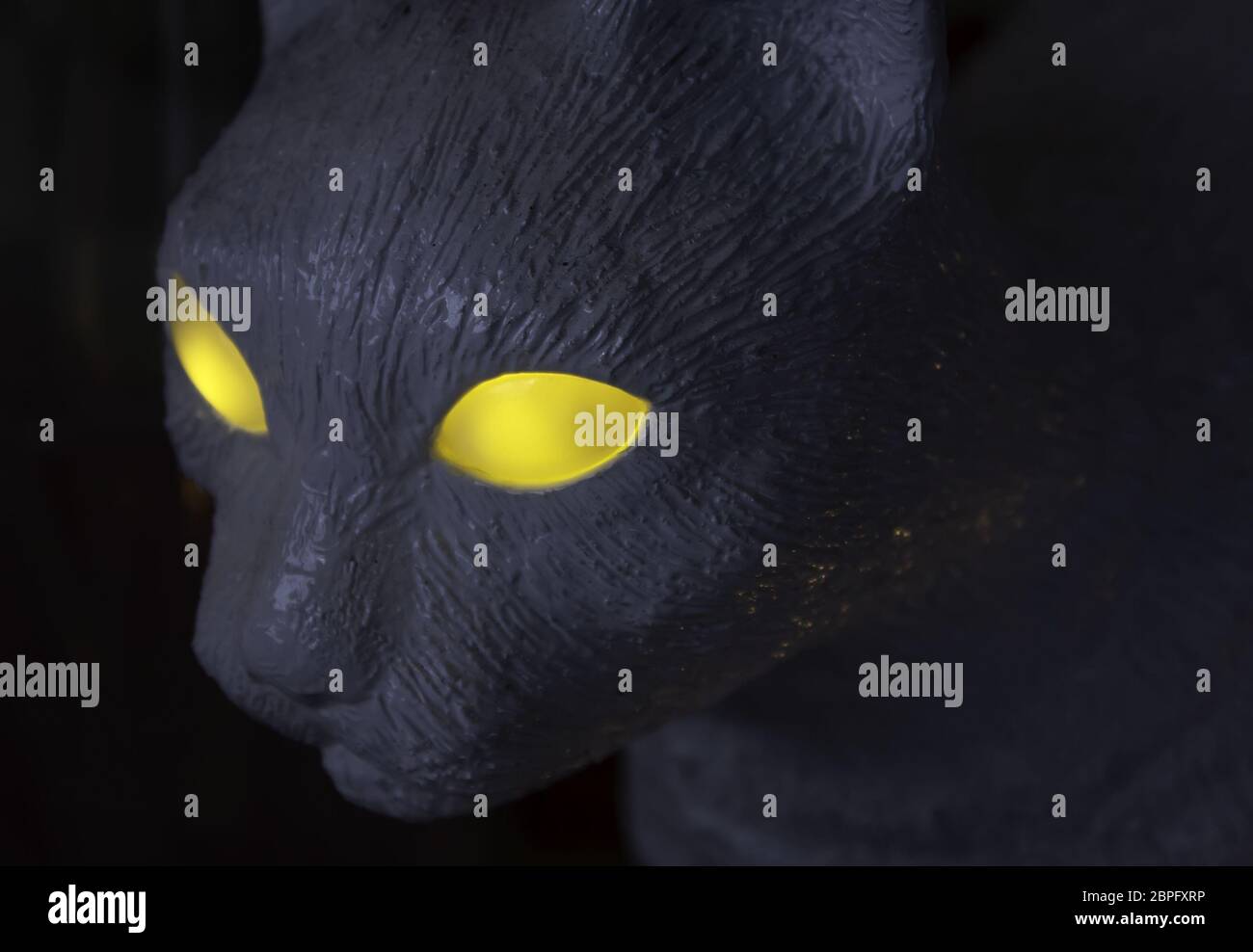 Evil black cat with bright eyes, spells and halloween Stock Photo - Alamy