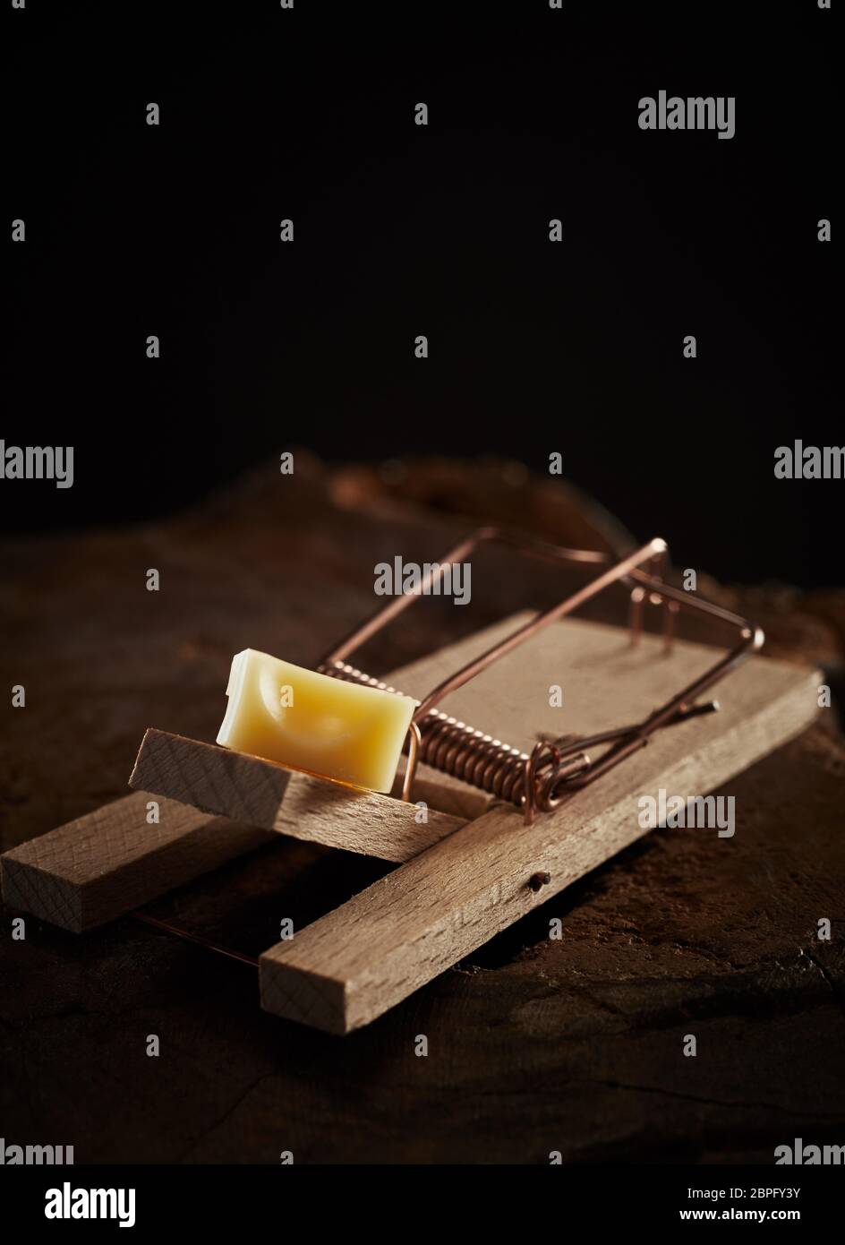 Wooden snap style mouse trap baited with cheese with the spring ready ...