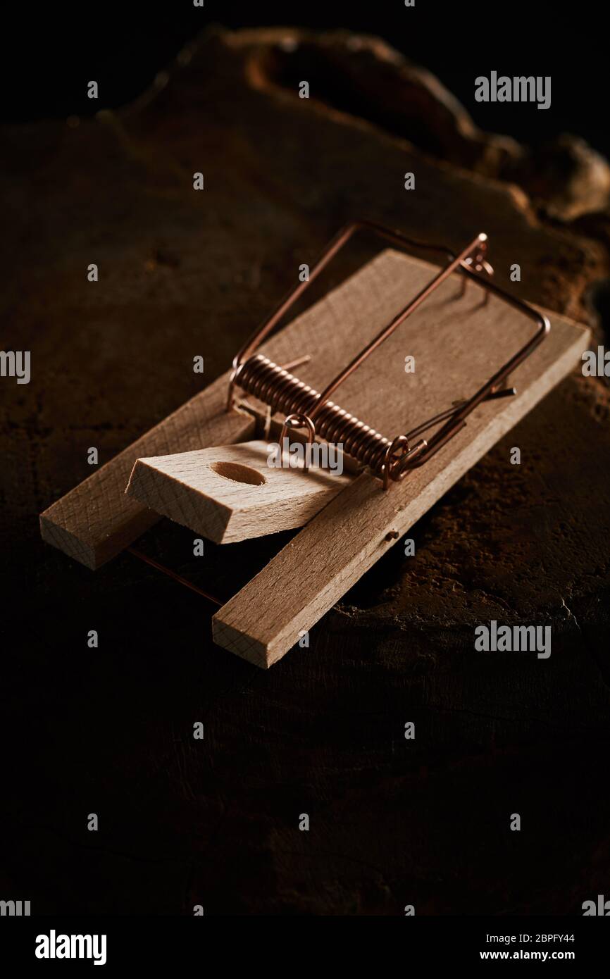 Wooden spring type mouse trap on black with copy space with the spring ...