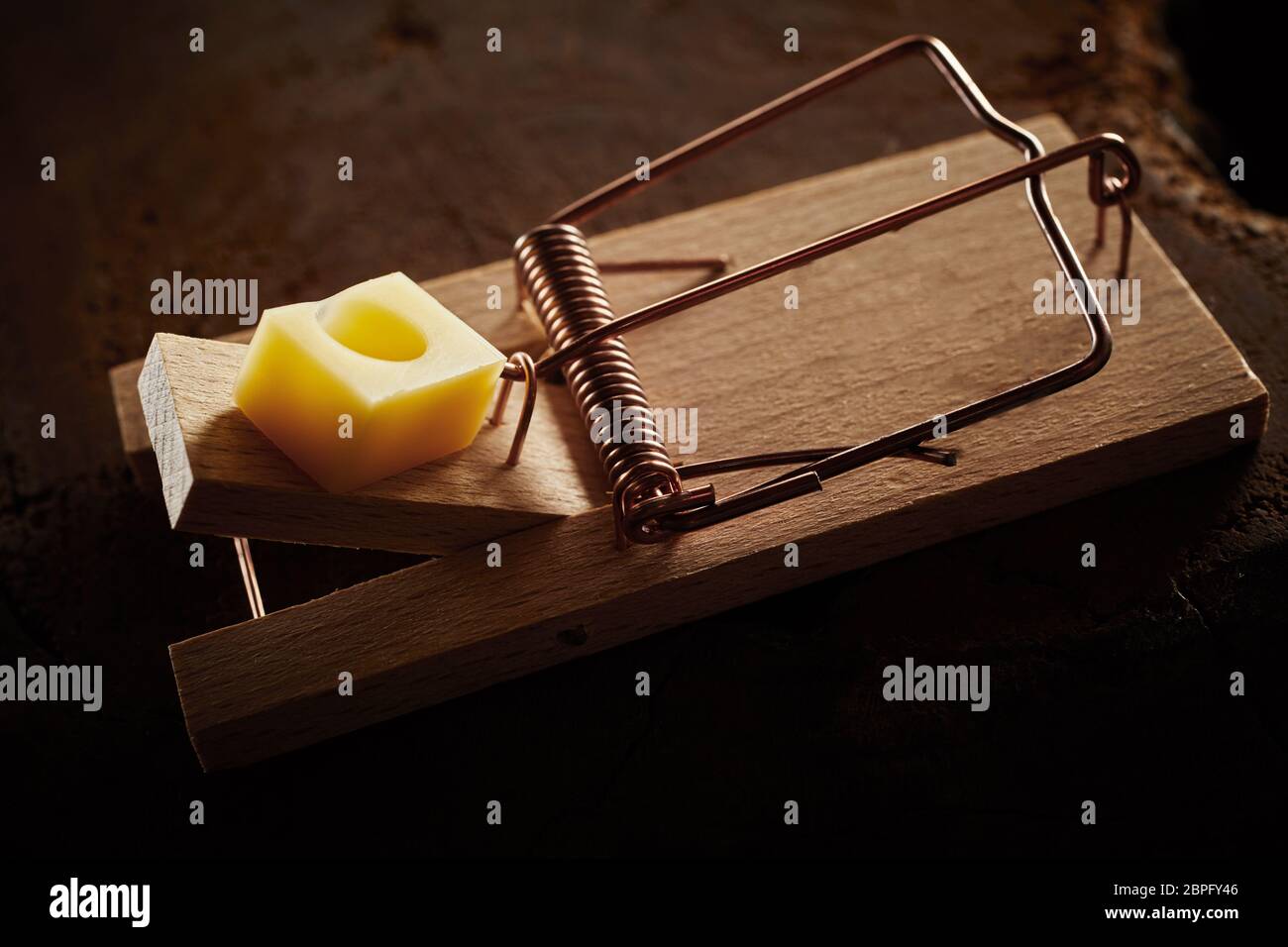 Wooden spring type mouse trap primed with cheese to bait the mouse over ...