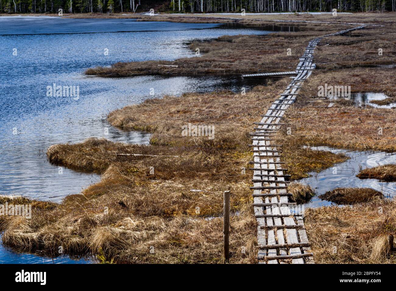 Unique 200 meter long footbridge from 1873 over a lake built on ...