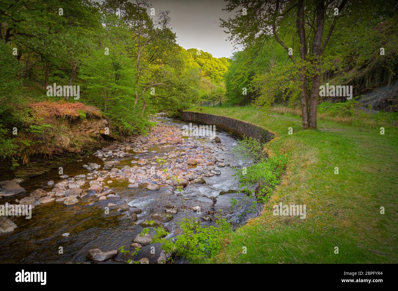 The Afon Twrch at Cwmllynfell Stock Photo - Alamy
