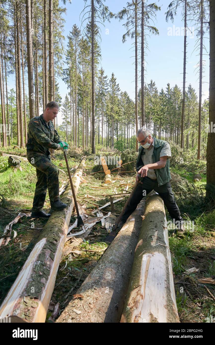 Boxberg, Germany. 19th May, 2020. A forestry office employee explains ...