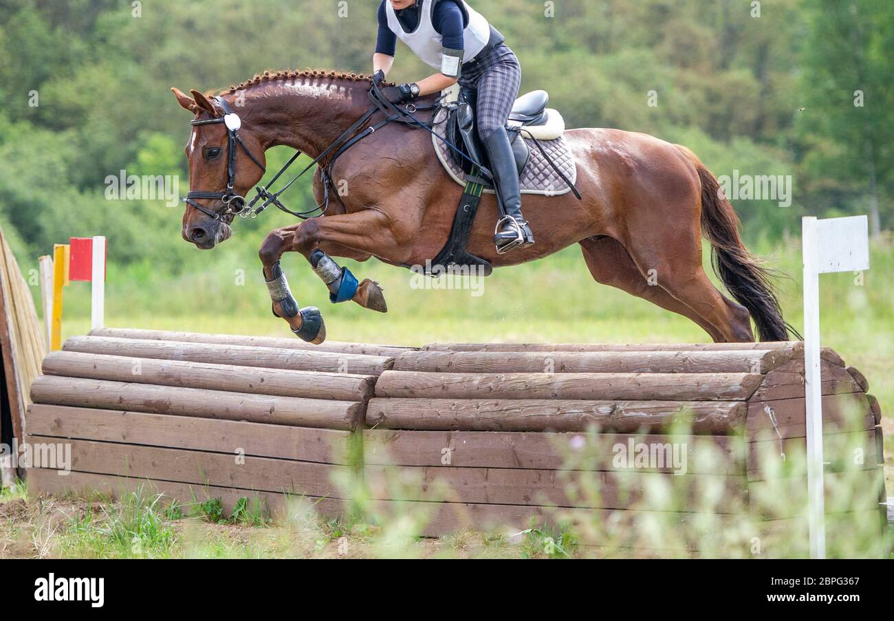 Eventing: equestrian rider jumping over an a log fence obstacle Stock ...